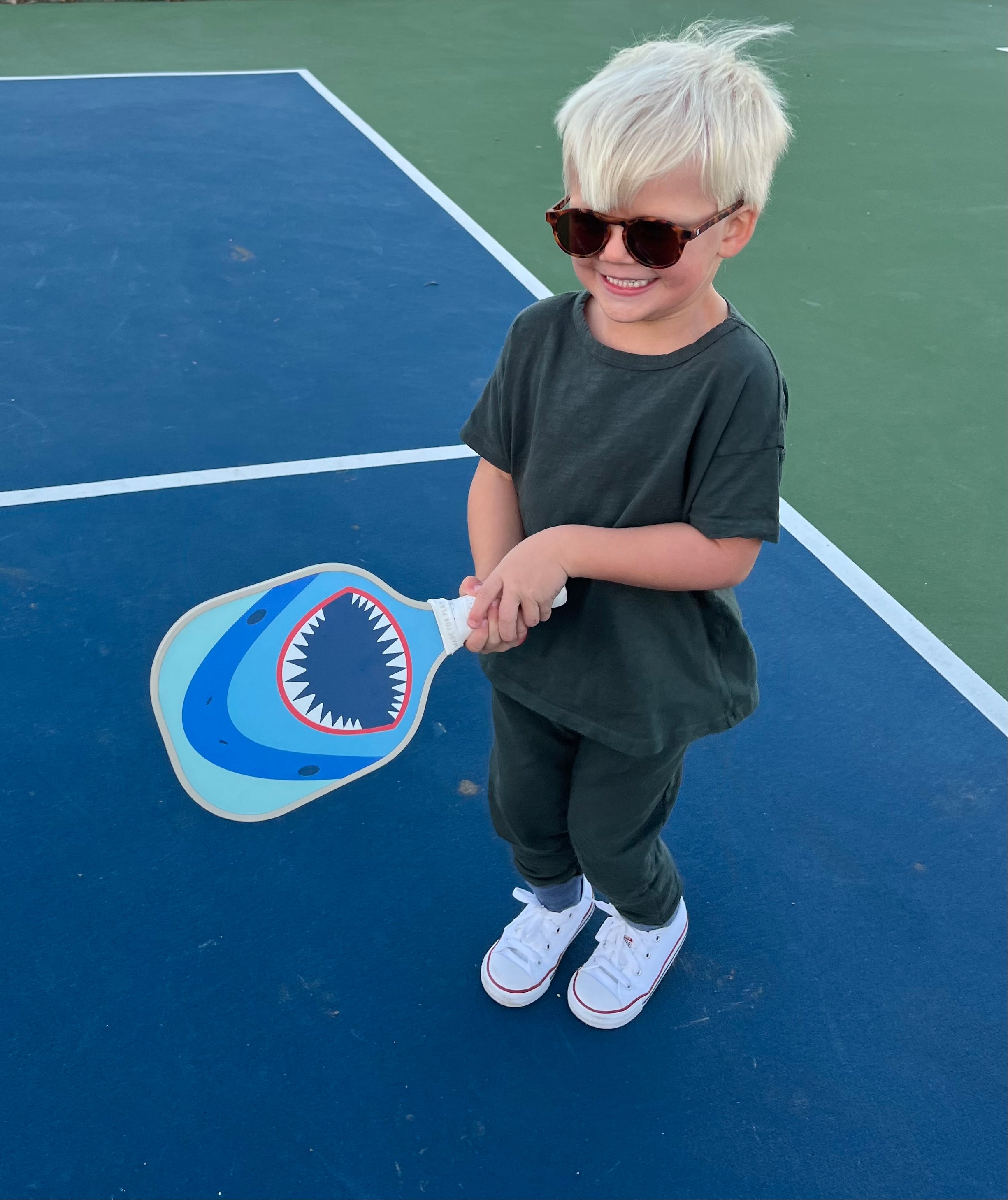 Shark – The Wall Pickleball